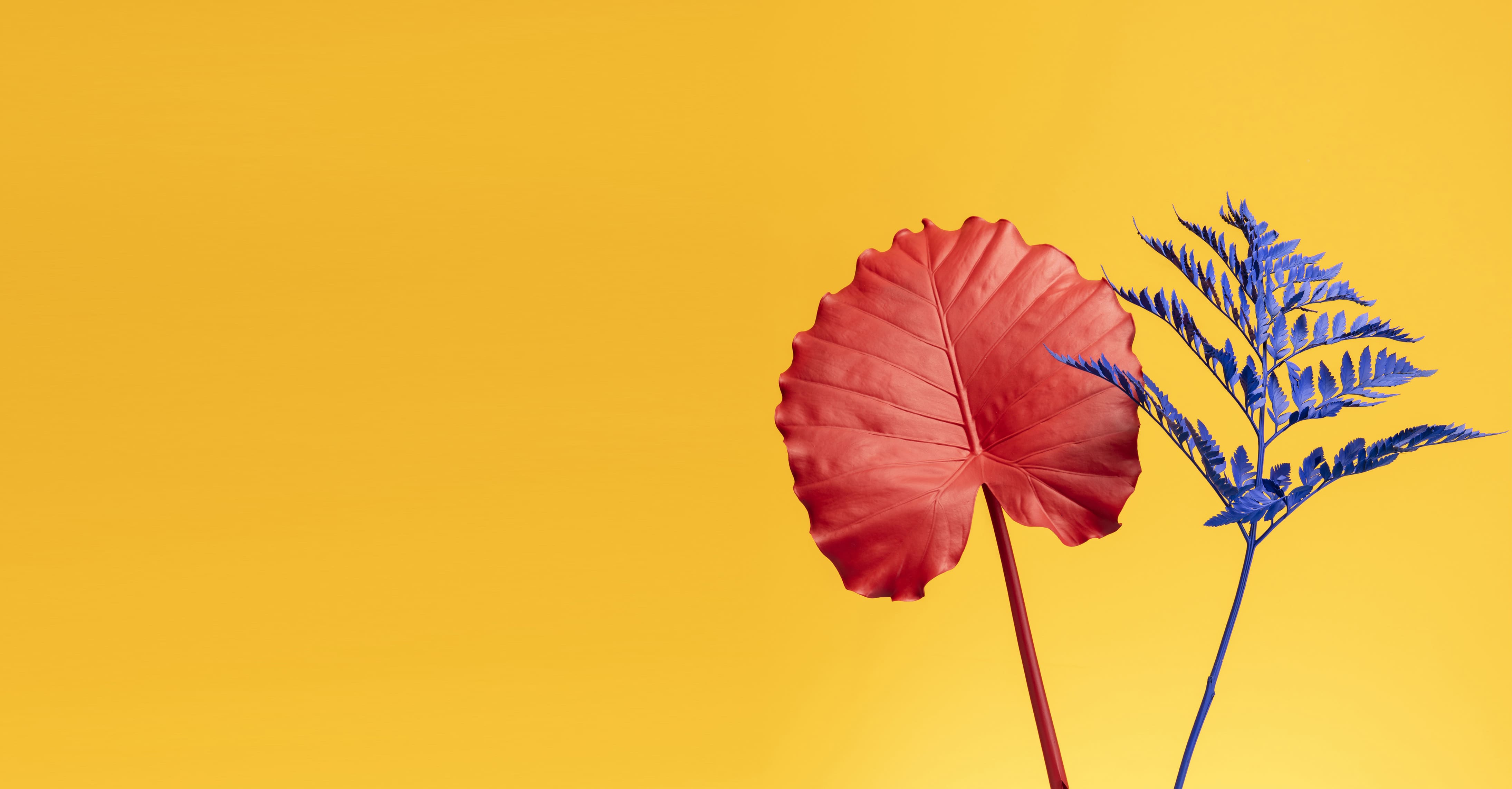 Outburst Media - Creative Media Agency